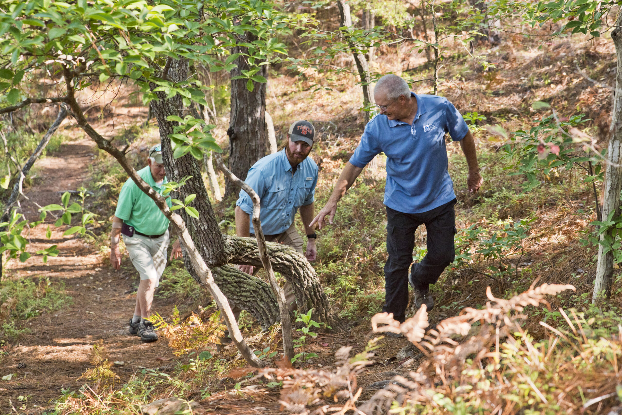 The CRATA Trails Around Lake Martin Offer Some of the Best Hiking in ...